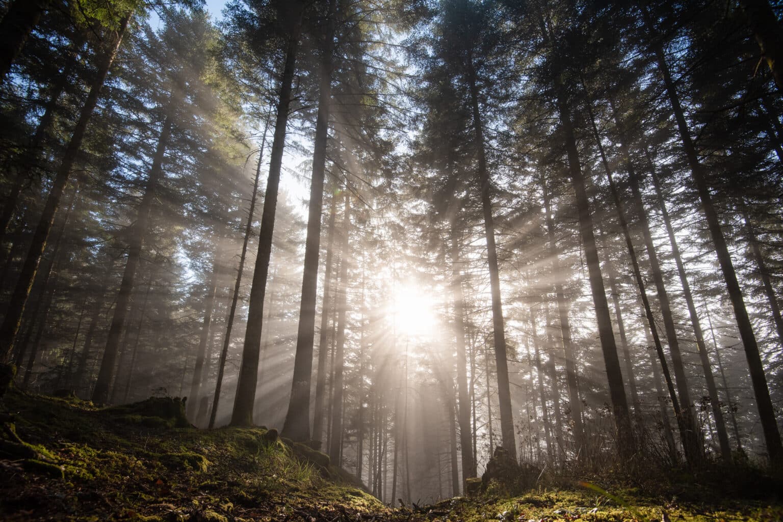 7 conseils pour photographier les couleurs de l'automne