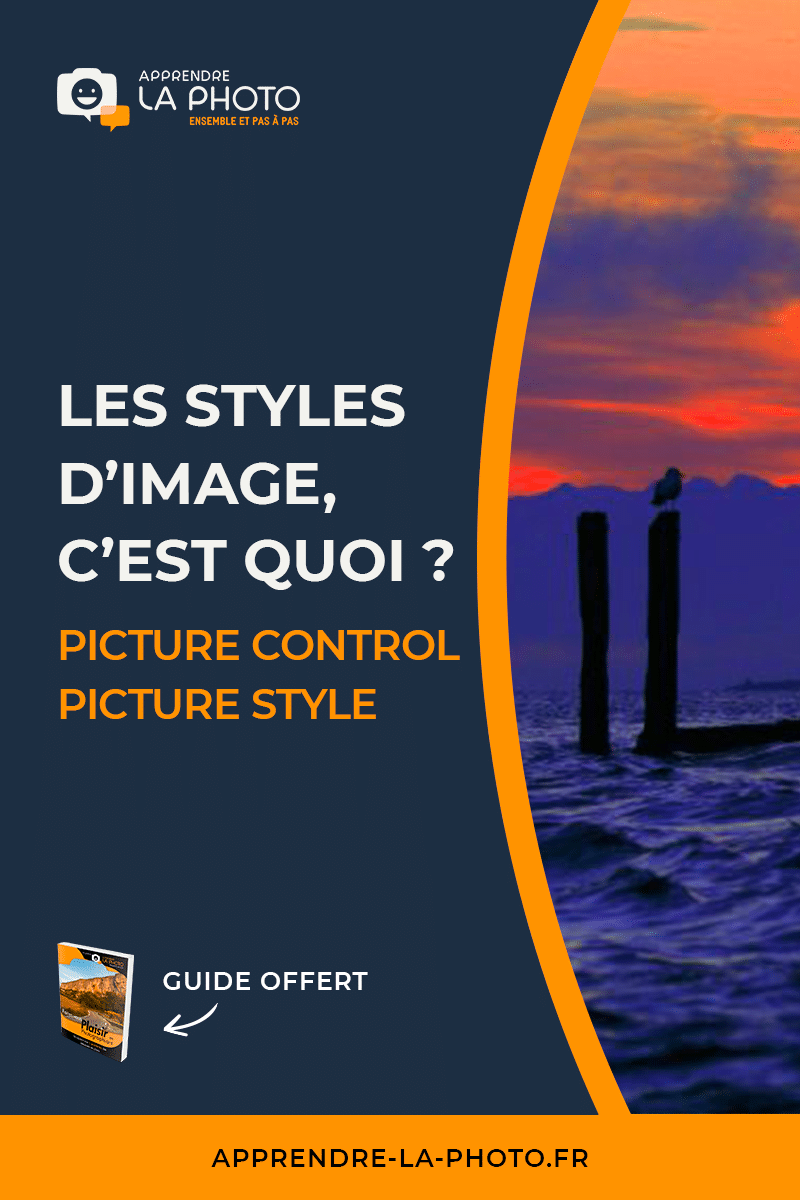 Les STYLES D'IMAGE (Picture Control, Picture Style, etc.)