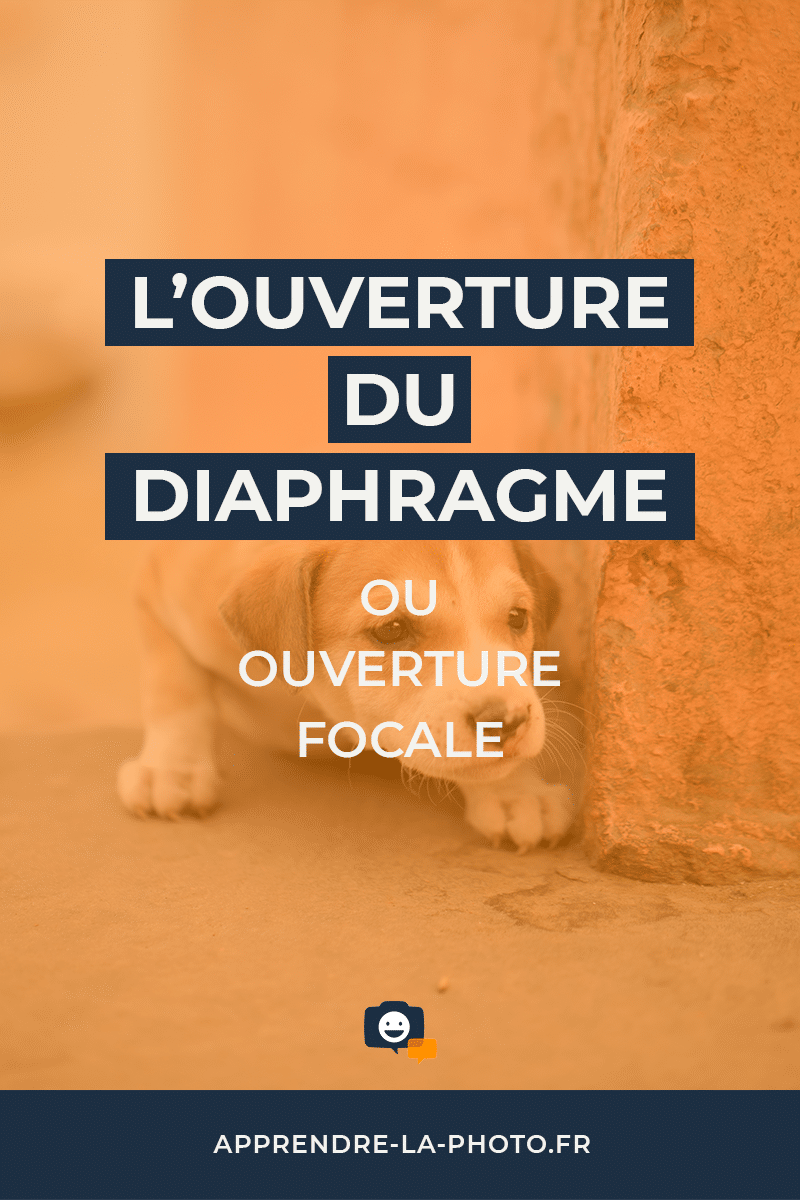 L'OUVERTURE EN PHOTO : la comprendre et la maîtriser