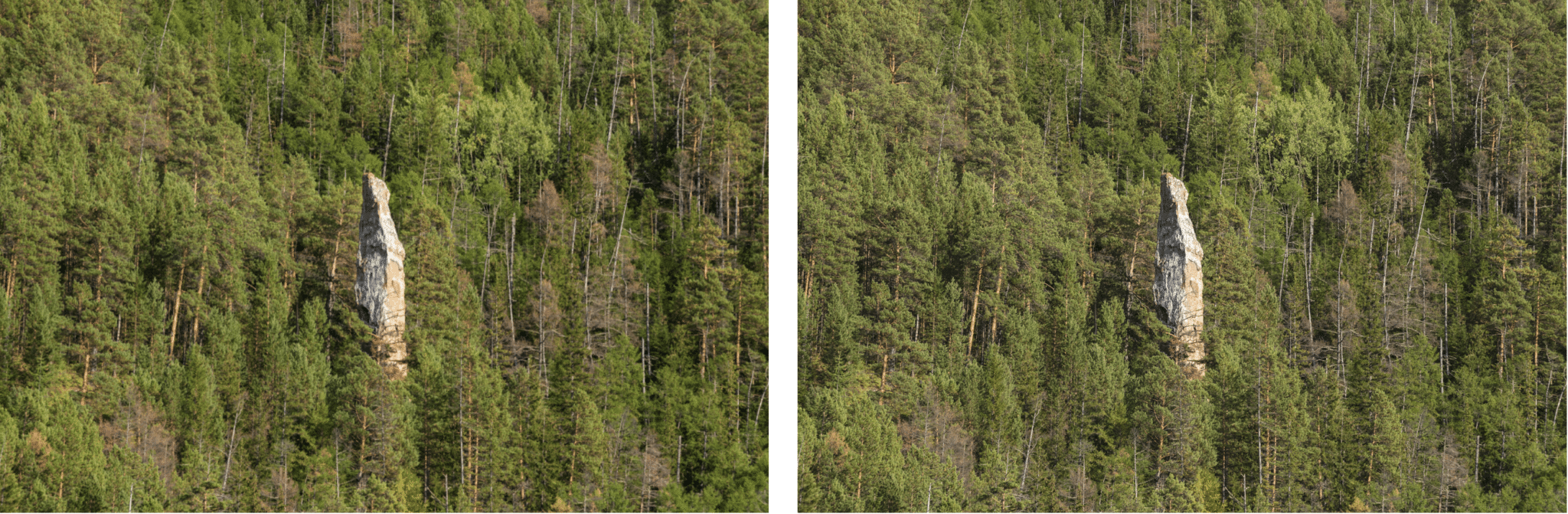 2025 : QUEL ÉCRAN CHOISIR pour la retouche PHOTO