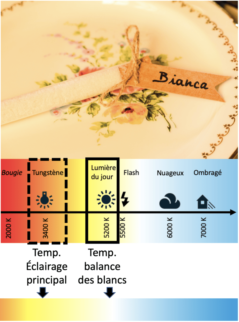 LA BALANCE DES BLANCS EN PHOTO: la comprendre et la maîtriser