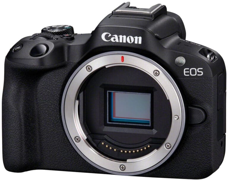 Canon EOS R50 vs Canon EOS M50 Mark II : lequel choisir